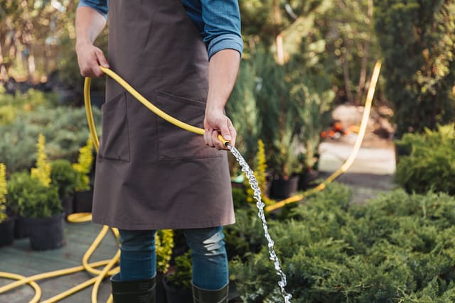 How to Water Your Home Foundation | AAA Foundation Service